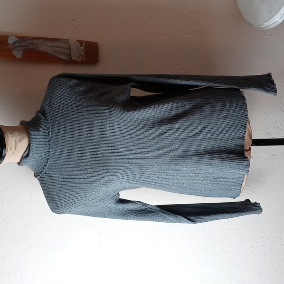 Sigrid Olsen | Sweaters | Sigrid Olsen Turtleneck Sweater | Poshmark